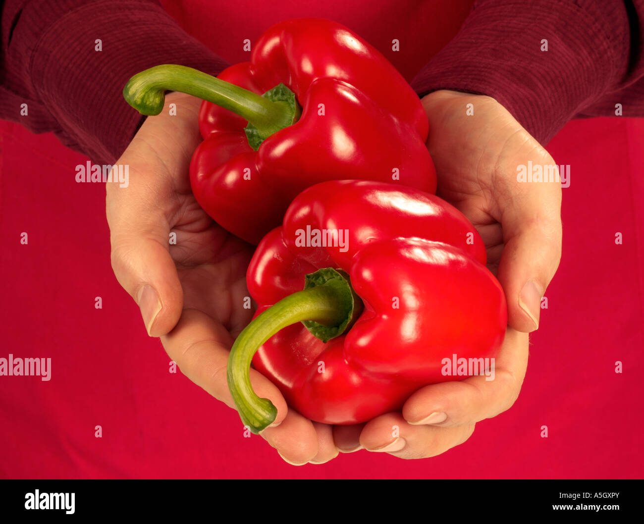 MAN HOLDING RED PEPPERS Stock Photo - Alamy
