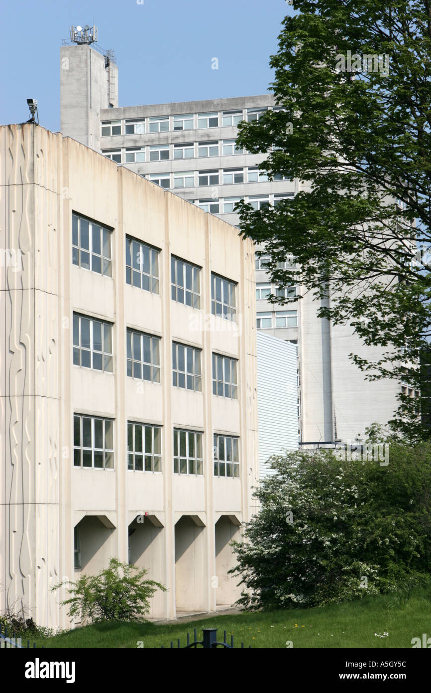 Social science postgraduate student hi-res stock photography and images ...