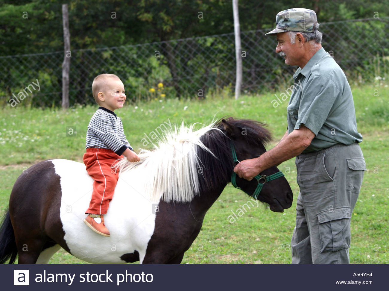 Baby Boy Riding Pony Stock Photos & Baby Boy Riding Pony Stock Images ...