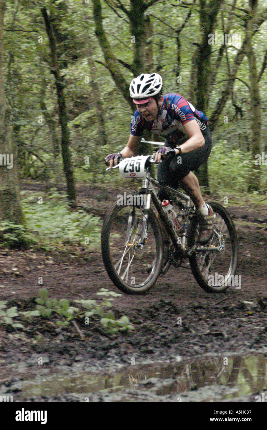 cross country cyclist in the woods Stock Photo - Alamy