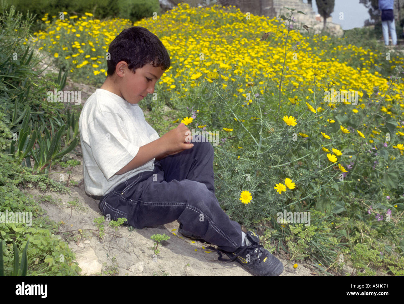 Rodian hi-res stock photography and images - Alamy