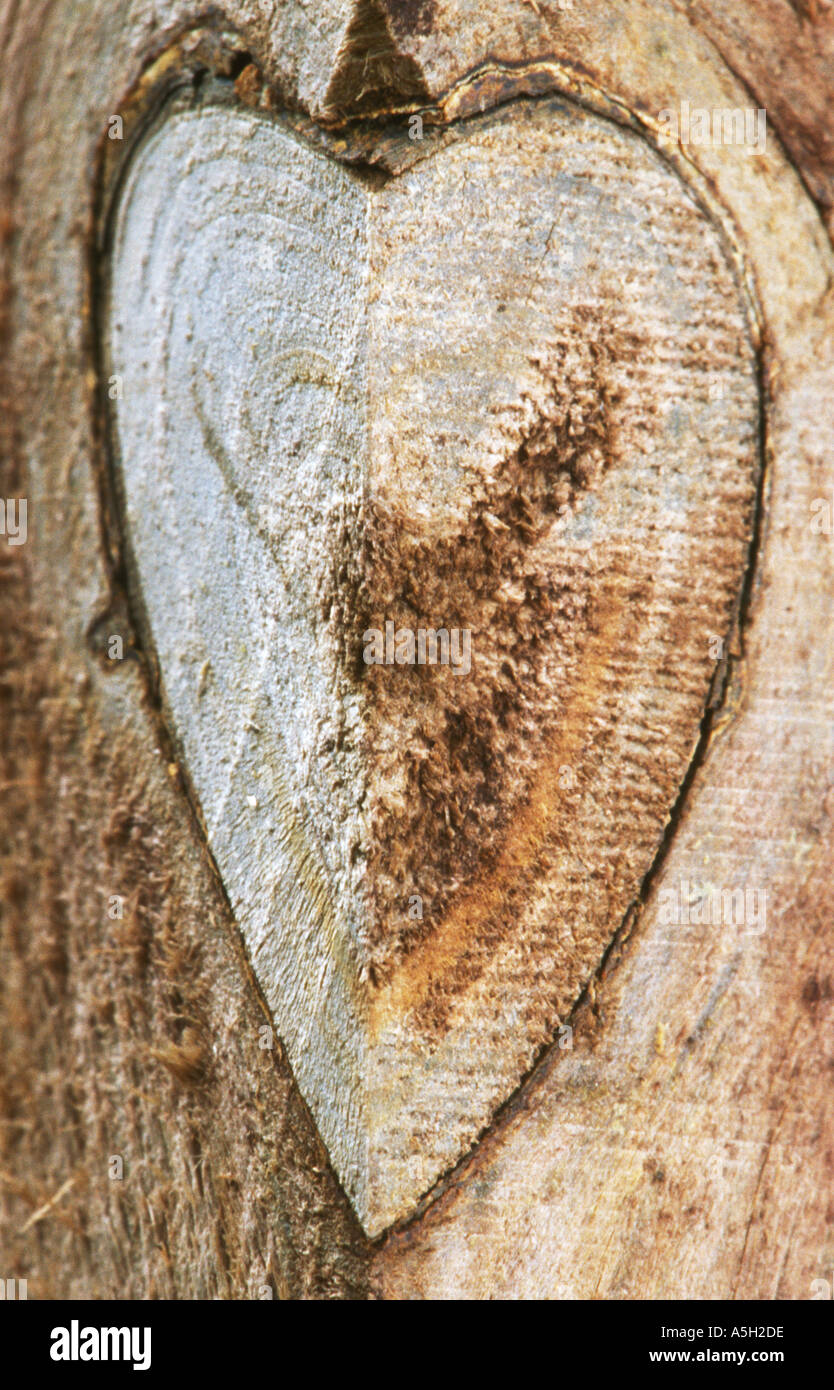 Wooden Heart shape Stock Photo - Alamy