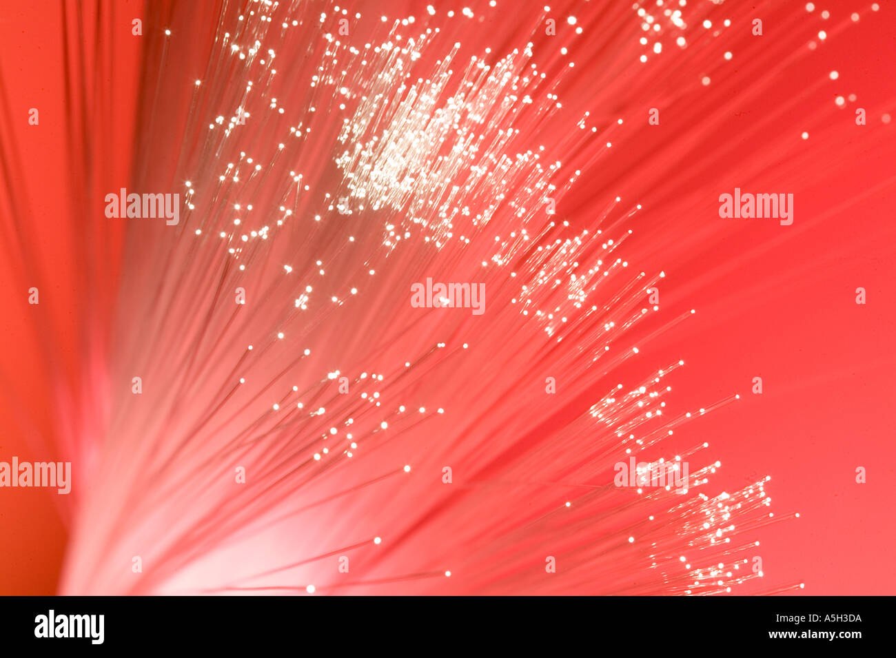Fiber optical cables Stock Photo - Alamy