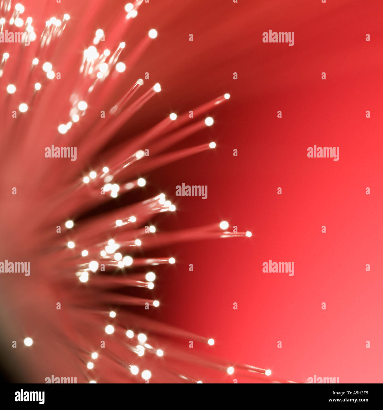 Colorful fiber optical cables Stock Photo - Alamy
