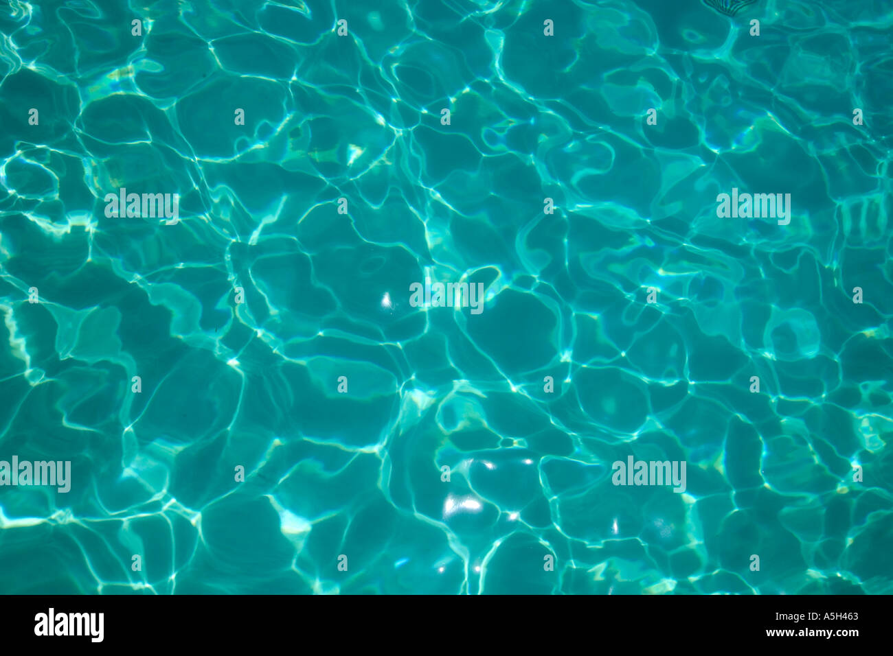 Water in a swimming pool Stock Photo - Alamy