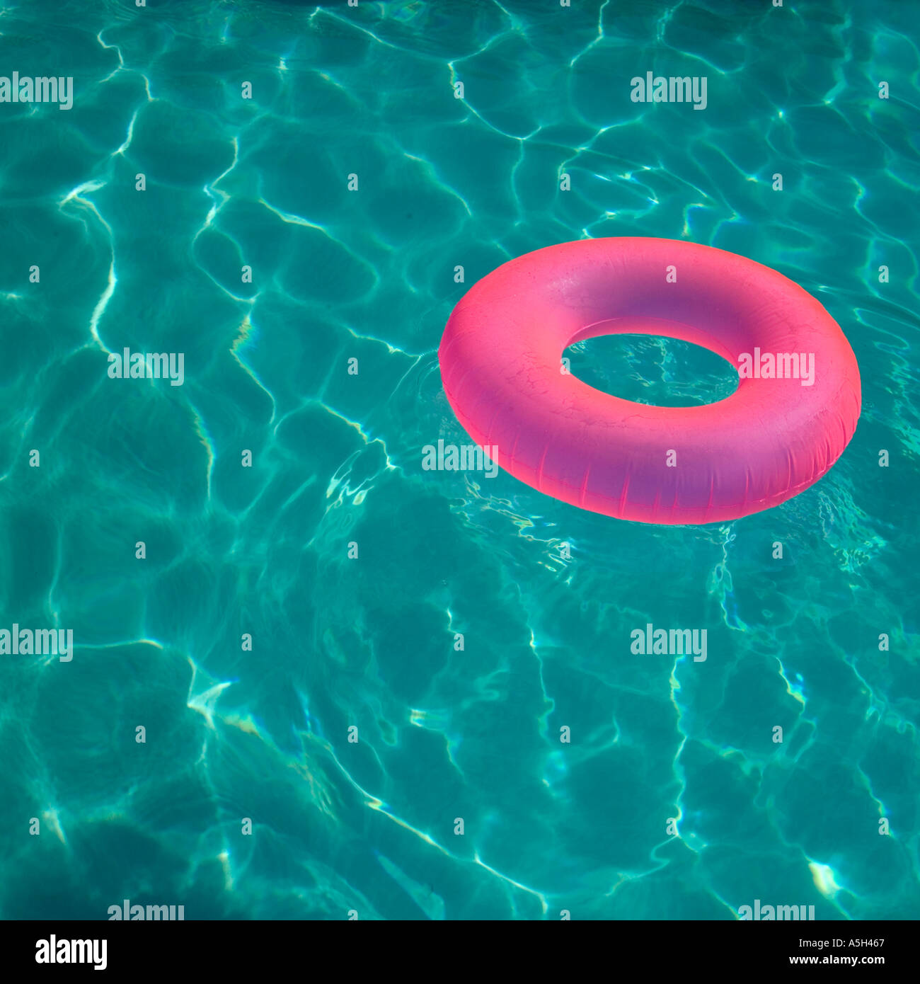 Pink tube floating in swimming pool Stock Photo - Alamy