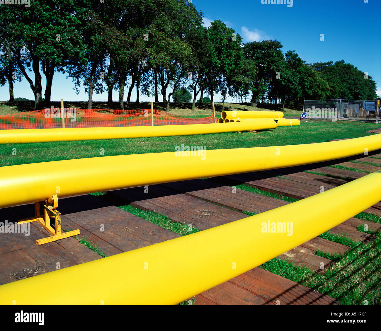 Tree piping hi-res stock photography and images - Alamy