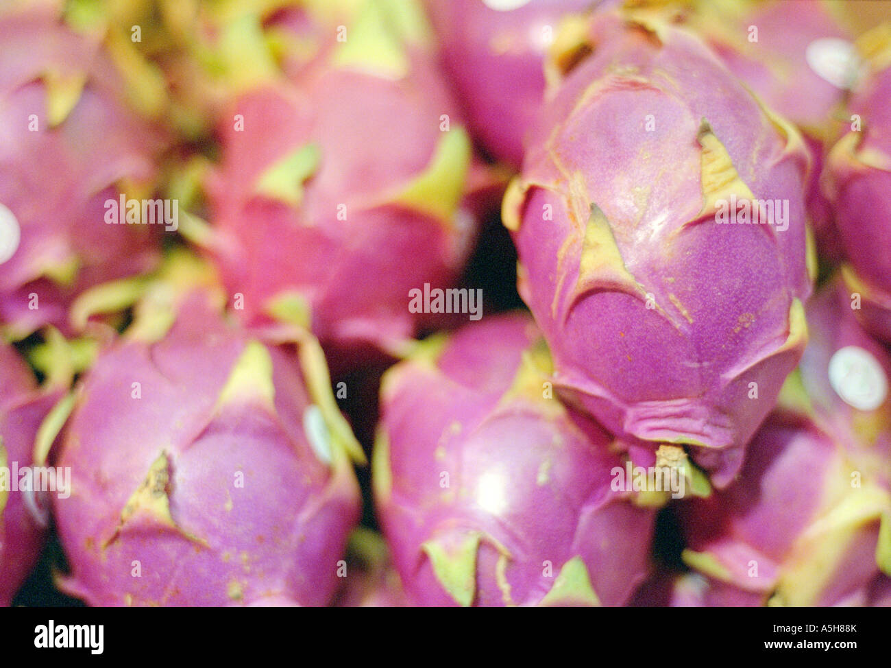 Dragon Fruit, Red market, Macau Stock Photo - Alamy
