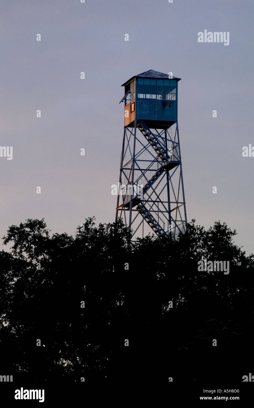 Fire watch tower structure over forest in Wildwood Florida USA Stock ...