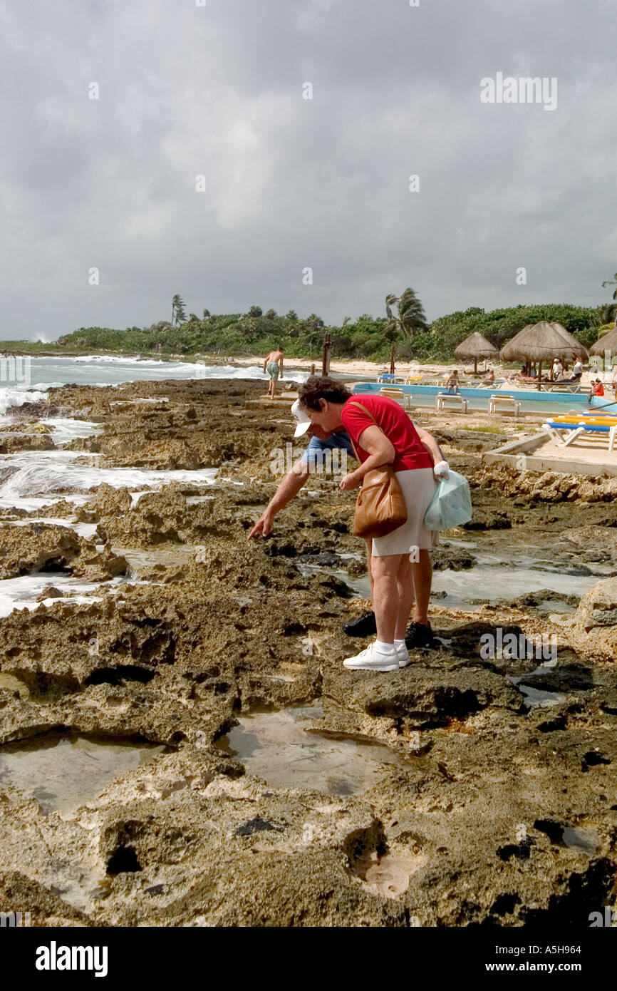 Couple bending over looking at sea life in a tide pool along the rocky ...