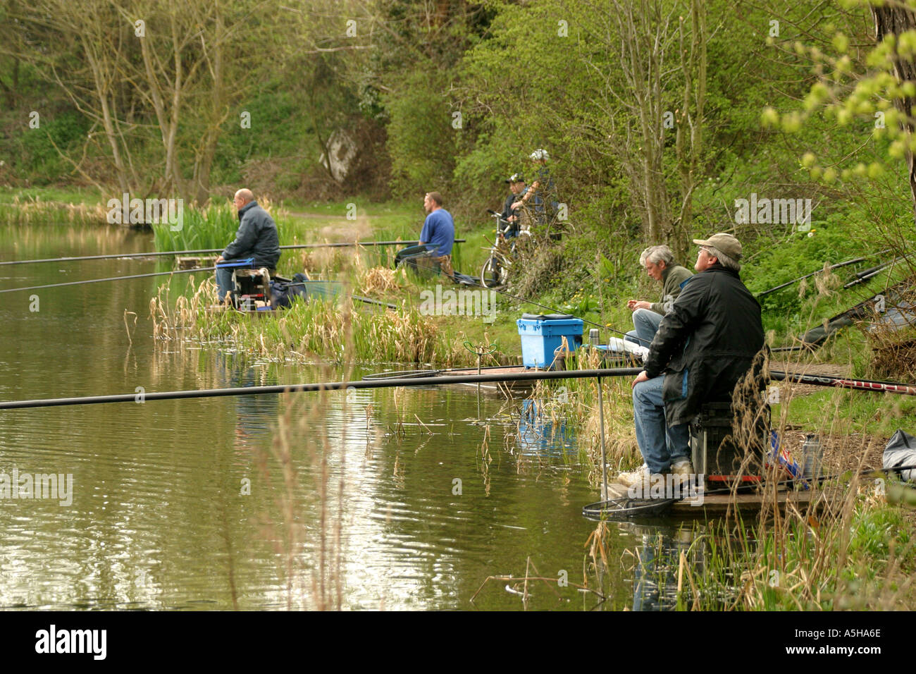 Pensioner Male Uk Fishing High Resolution Stock Photography and Images ...