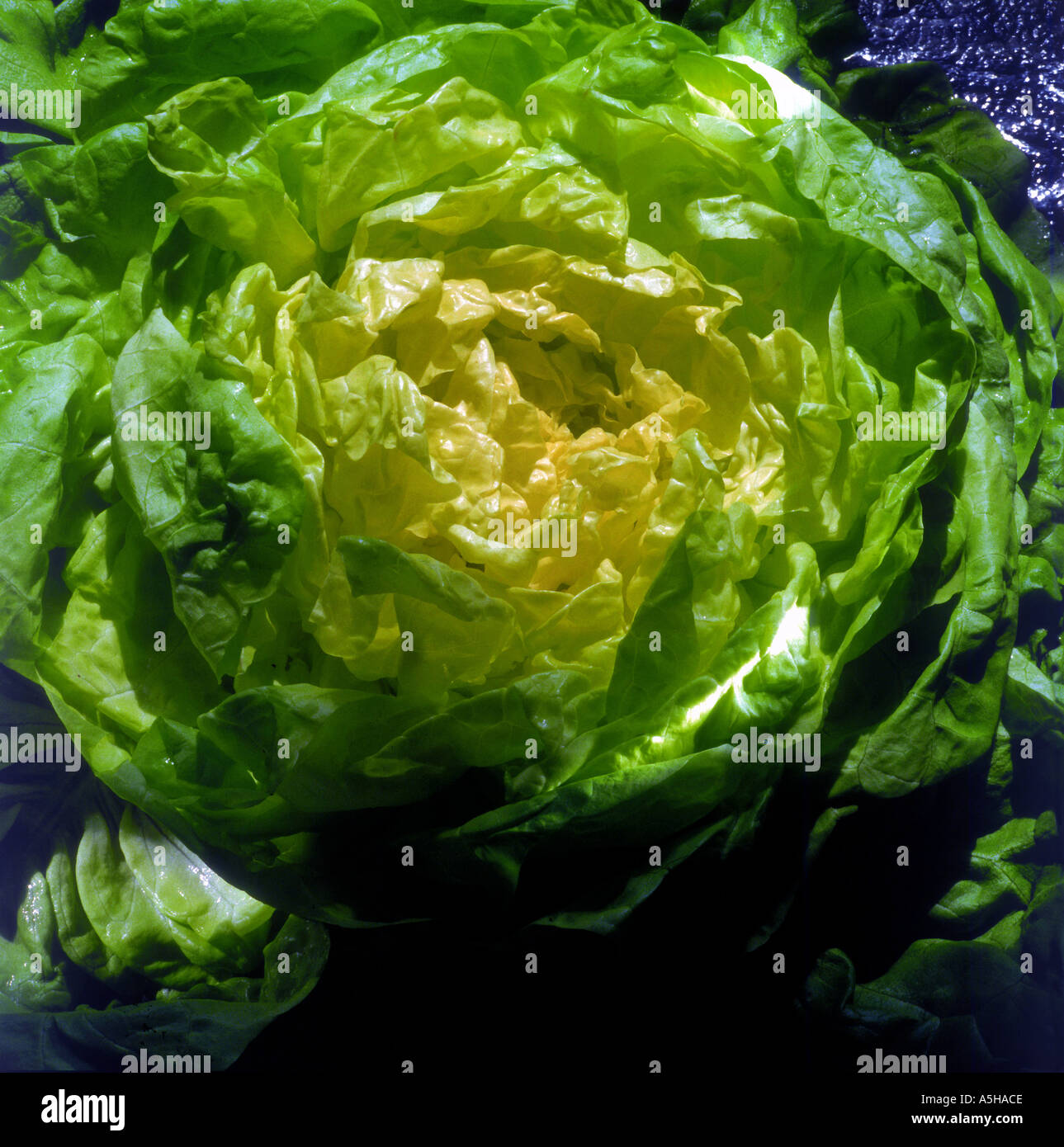 Farming agroculture hi-res stock photography and images - Alamy