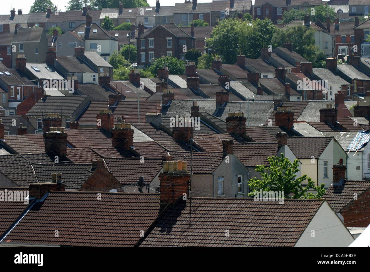High level view over roofs of red brick houses in Swindon Wiltshire ...