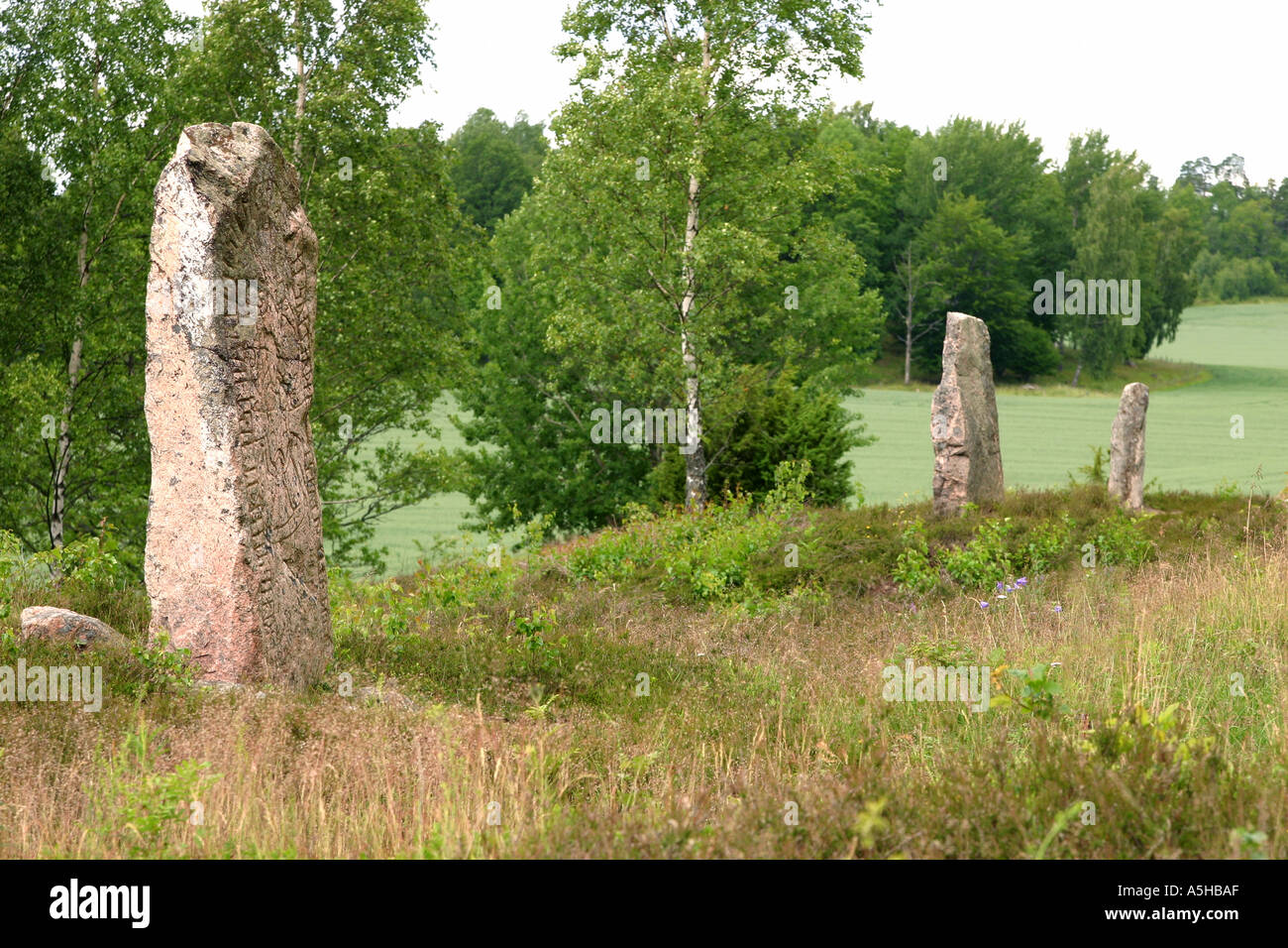 rune stone and grave stones Stock Photo - Alamy