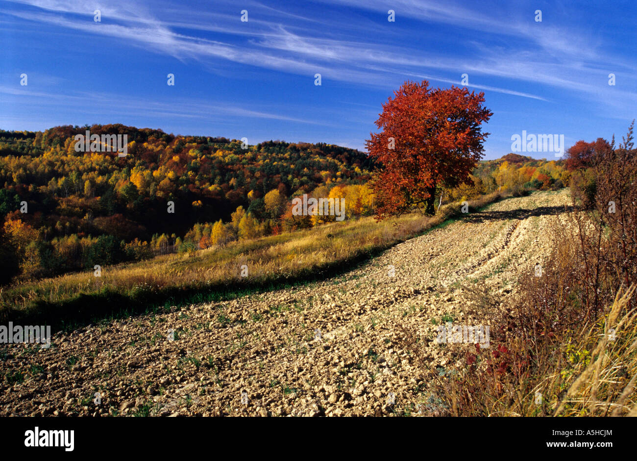 Roztocze region in south east Poland Stock Photo - Alamy