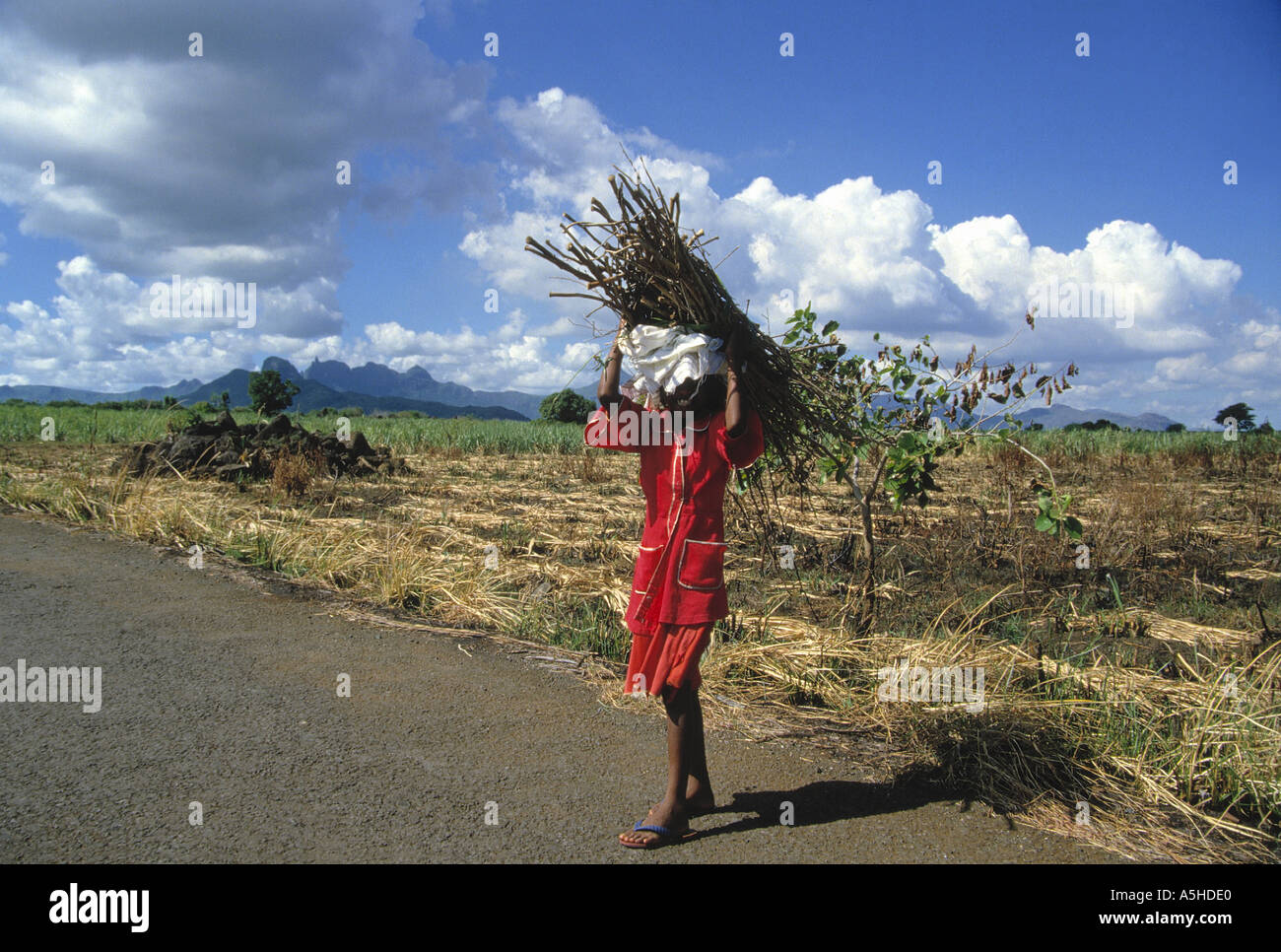 Mauritius girl portrait hi-res stock photography and images - Alamy