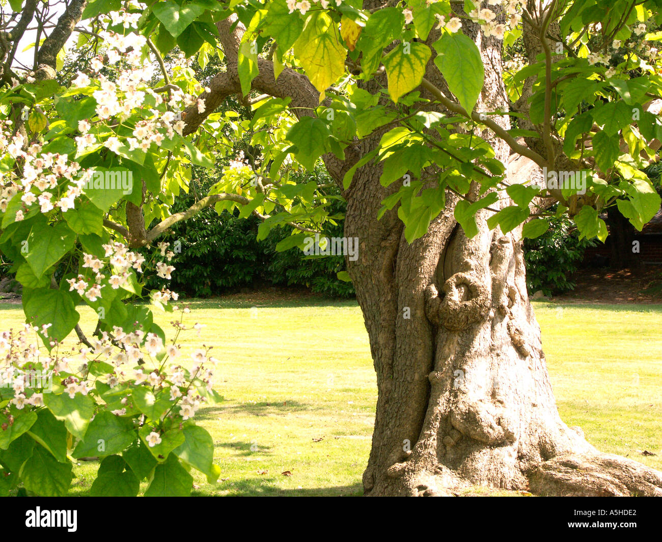Wimpole Estate Cambridgeshire Stock Photo - Alamy