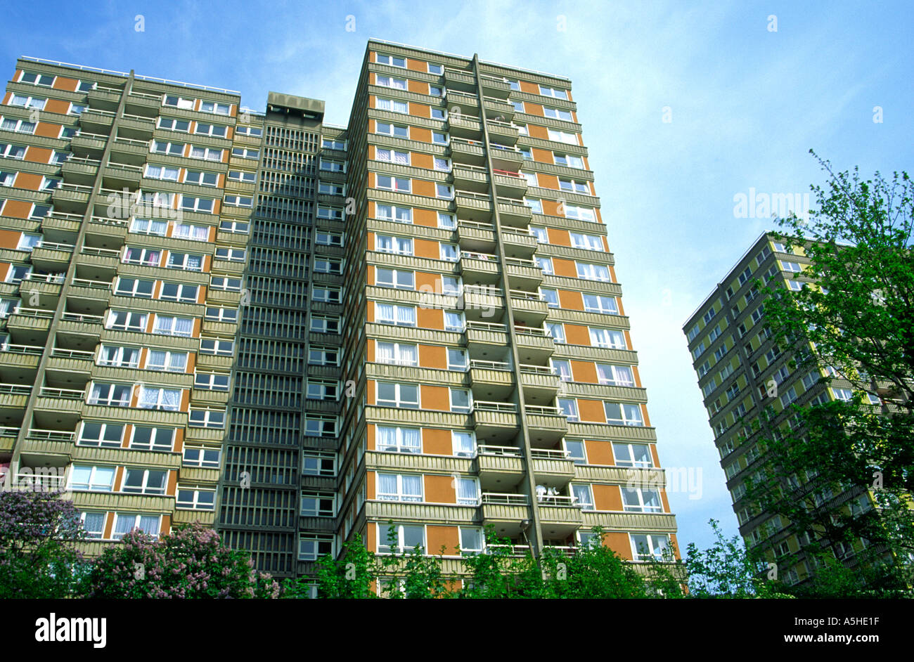 High rise tower blocks Sheffield South Yorkshire England Stock Photo ...