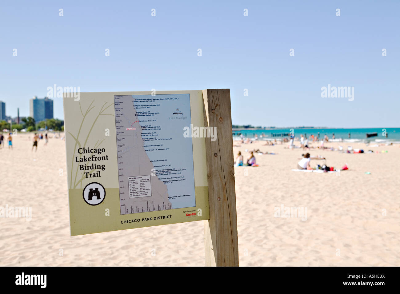 Chicago birding hi-res stock photography and images - Alamy