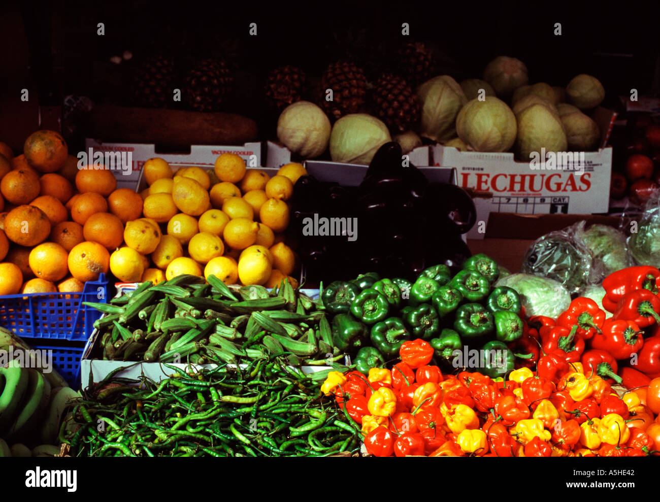 A colourful vegetable display of fresh produce Stock Photo - Alamy