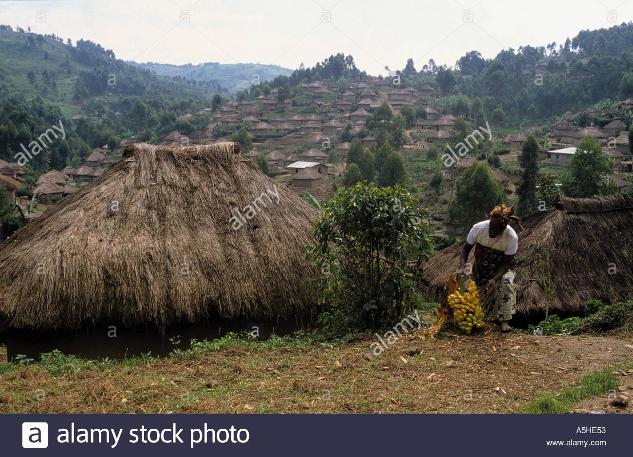village near city of kisangani democratic republic of congo congo Stock ... village near city of kisangani democratic republic of congo congo Stock ...