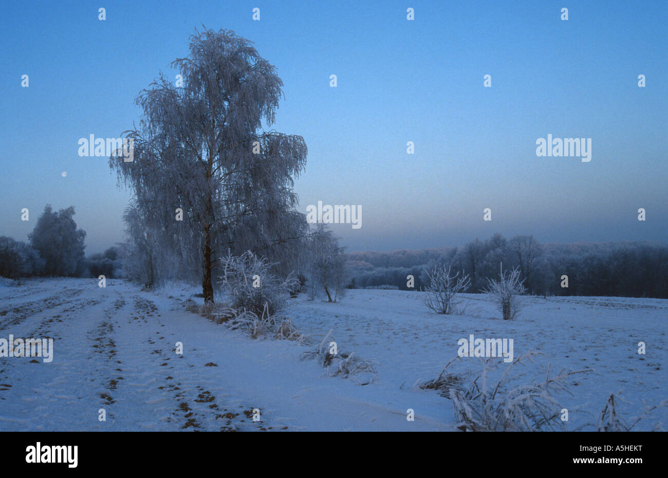 Roztocze region in south east Poland Stock Photo - Alamy