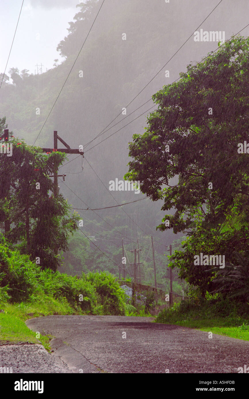 Power lines in the rain Dominica West Indies Stock Photo - Alamy