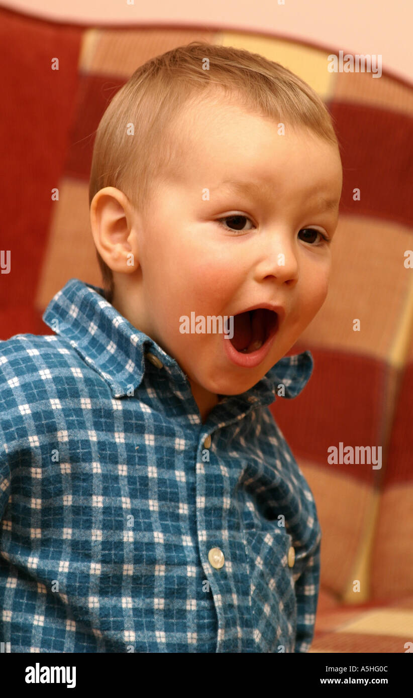 Baby sark hi-res stock photography and images - Alamy