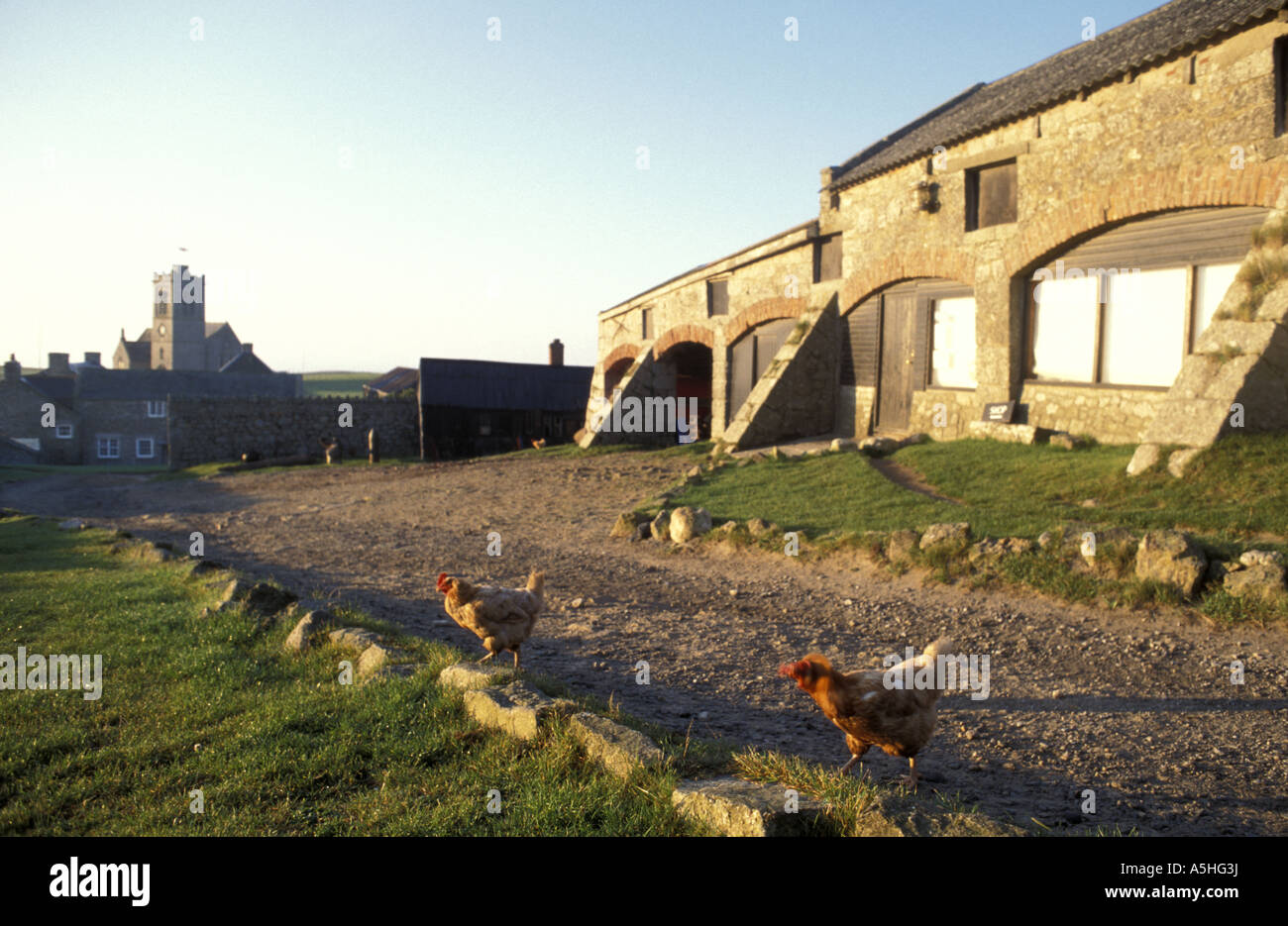 The village on Lundy Island with St Helens Church Devon England Stock ...