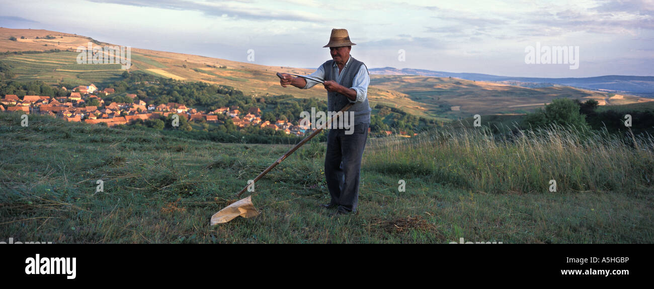 Scythe field hi-res stock photography and images - Alamy