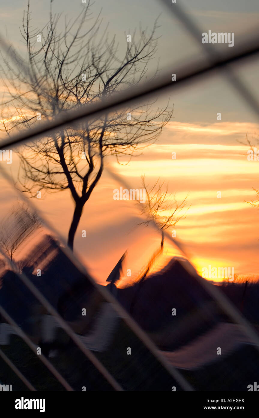 Solar power system reflection of tree hi-res stock photography and ...