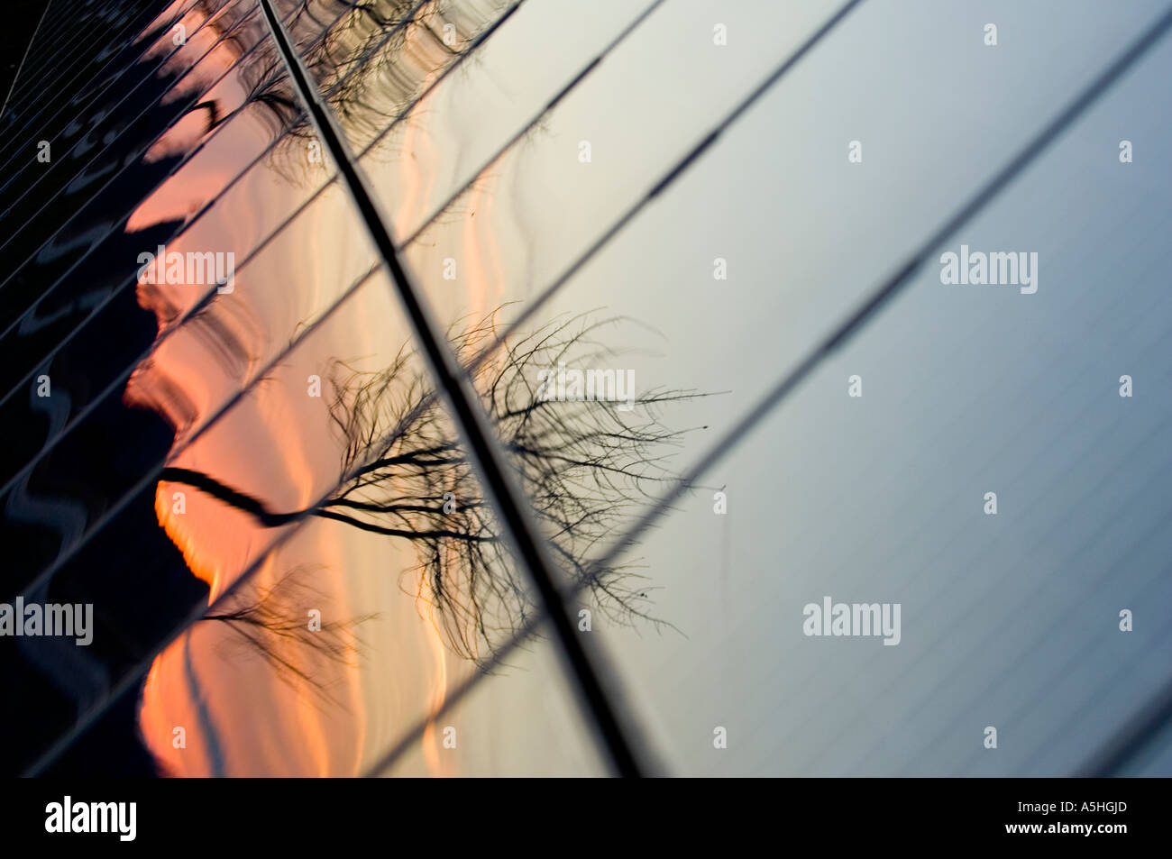 solar power system, reflection of a tree Stock Photo - Alamy