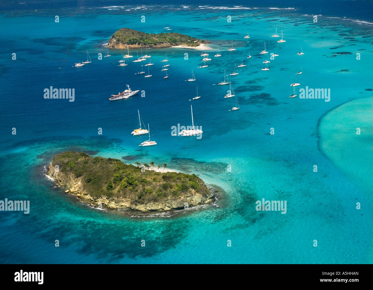 Tobago cays snorkeling hi-res stock photography and images - Alamy