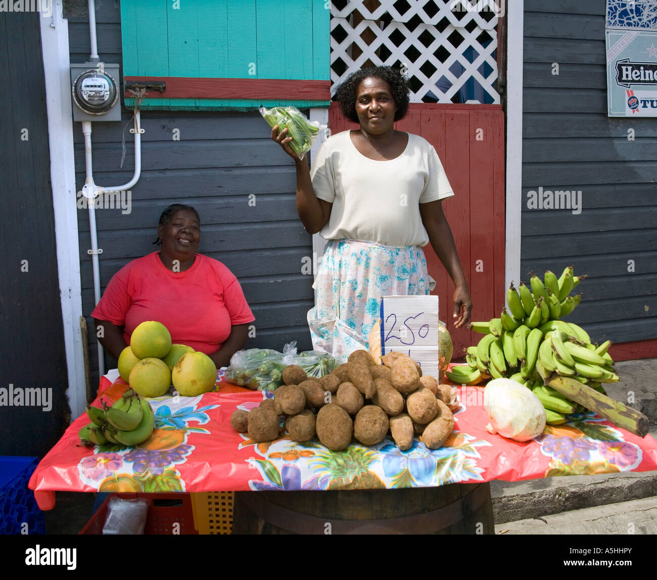Local stall lady selling Vegatables in Carriacoo Island in the ...
