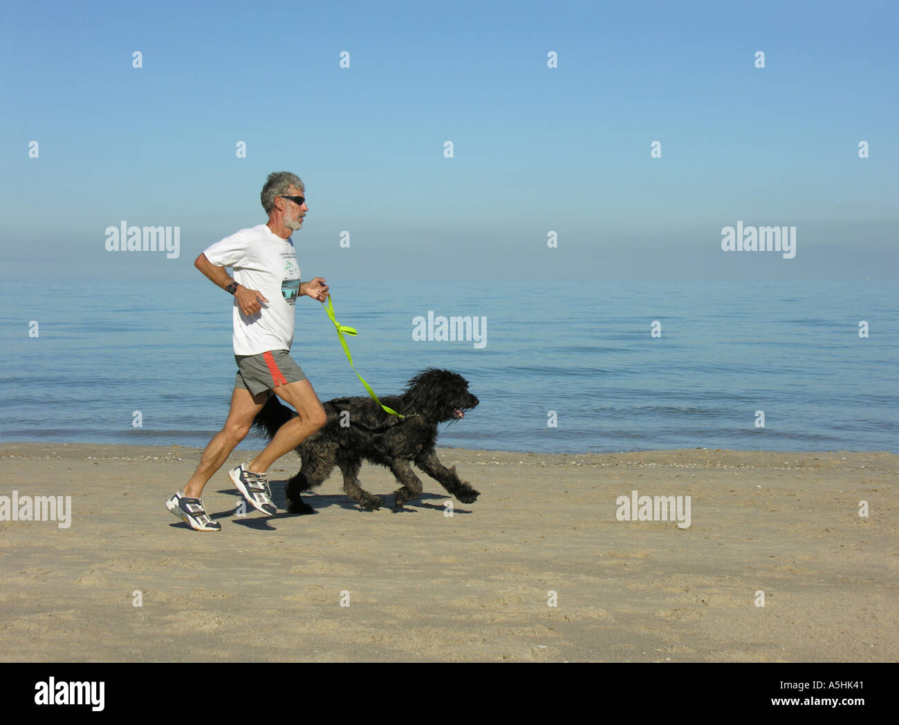 Man with big black dog jogging along sea Stock Photo - Alamy