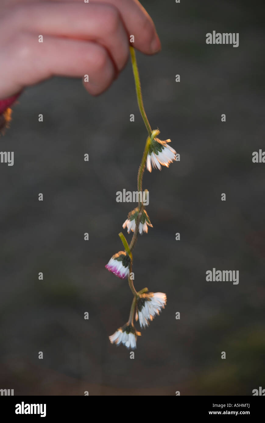 Undignified hi-res stock photography and images - Alamy