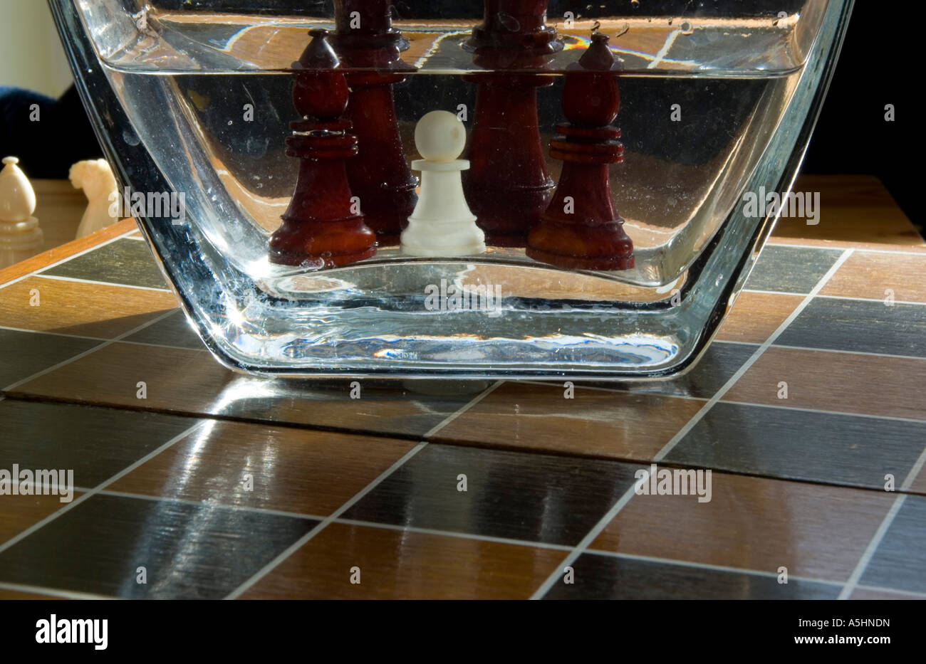 Chess game in the water hi-res stock photography and images - Alamy