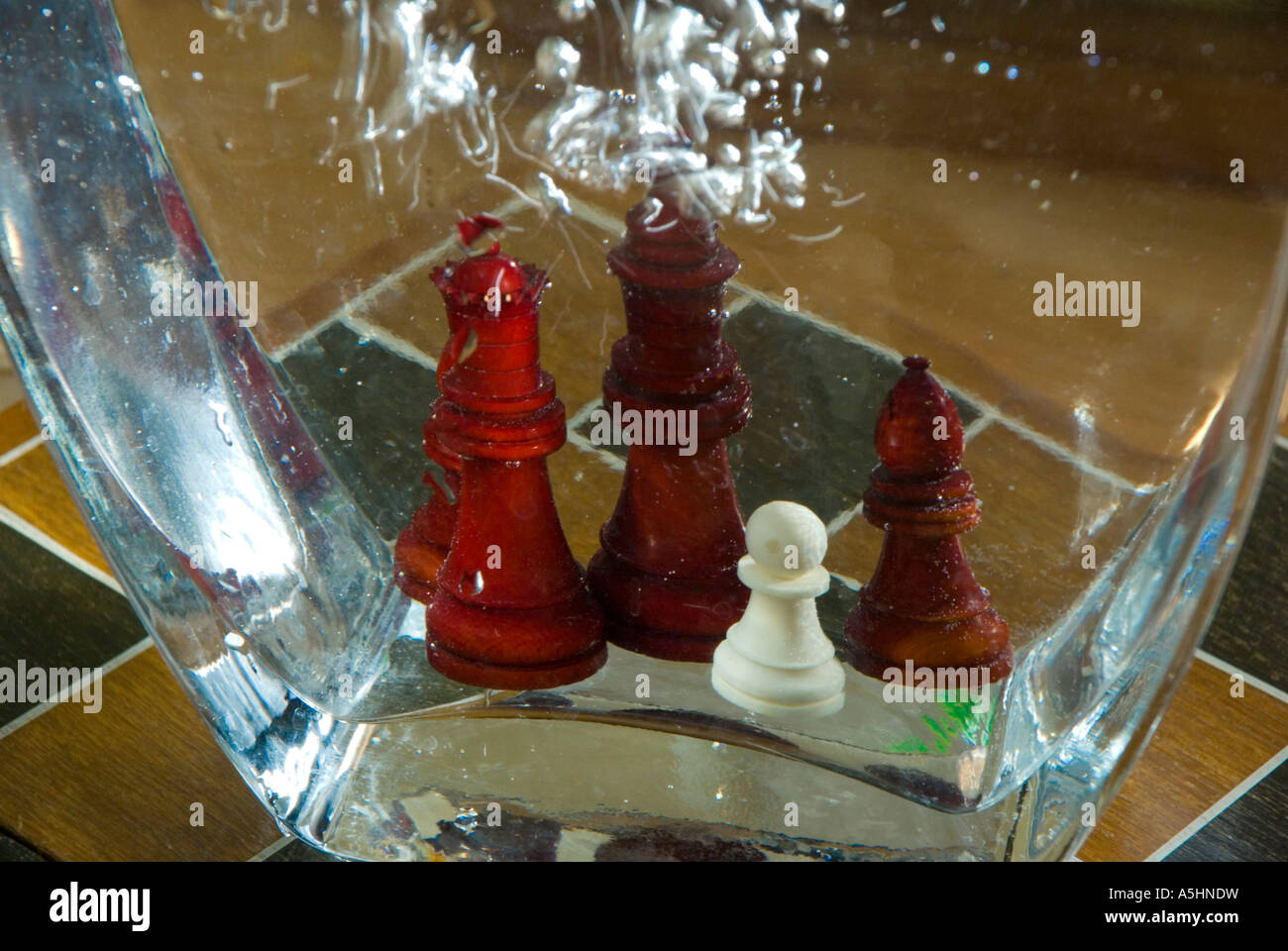 chess pieces in a bowl of water with bubbles Stock Photo - Alamy