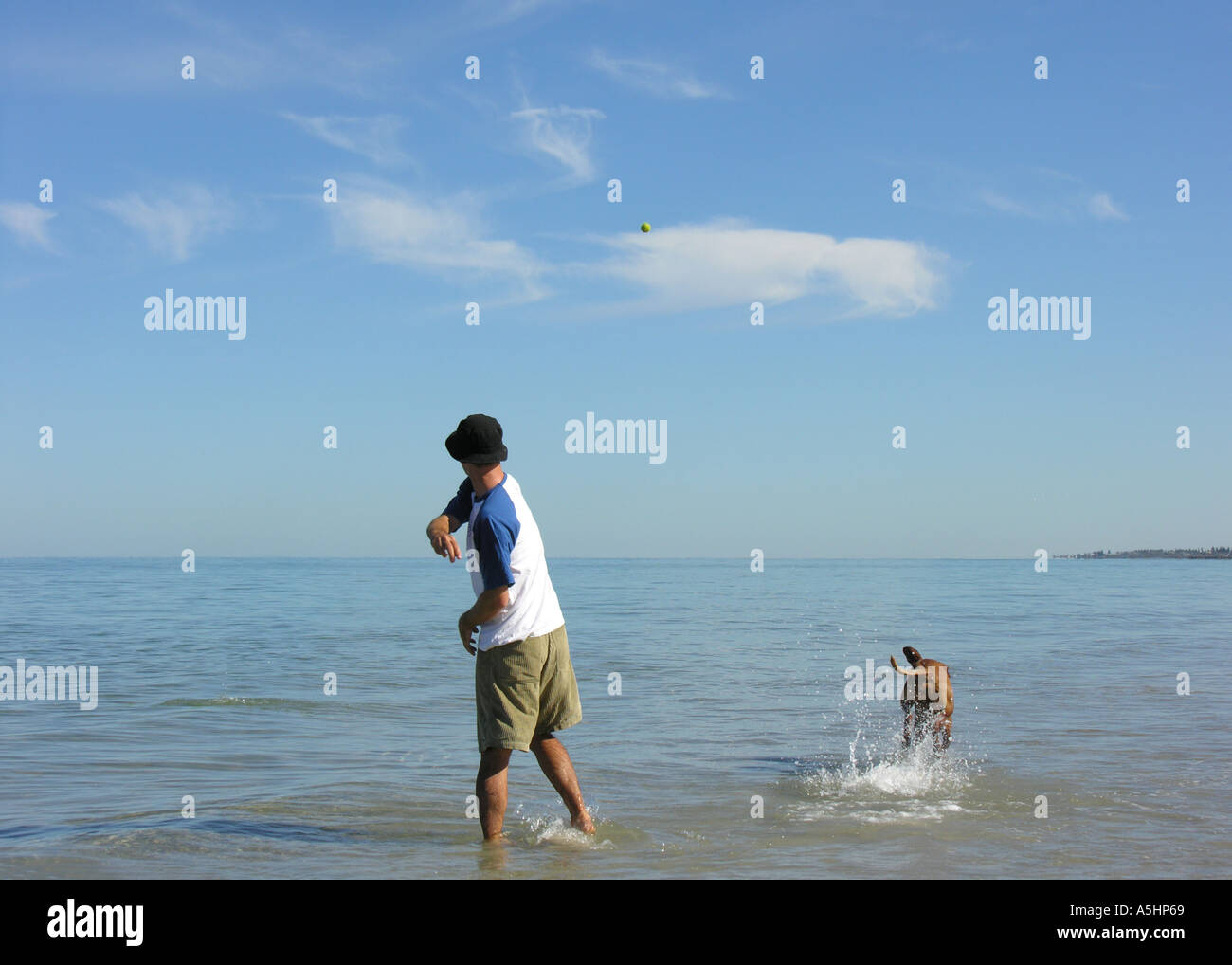 Man throwing ball for dog hi-res stock photography and images - Alamy