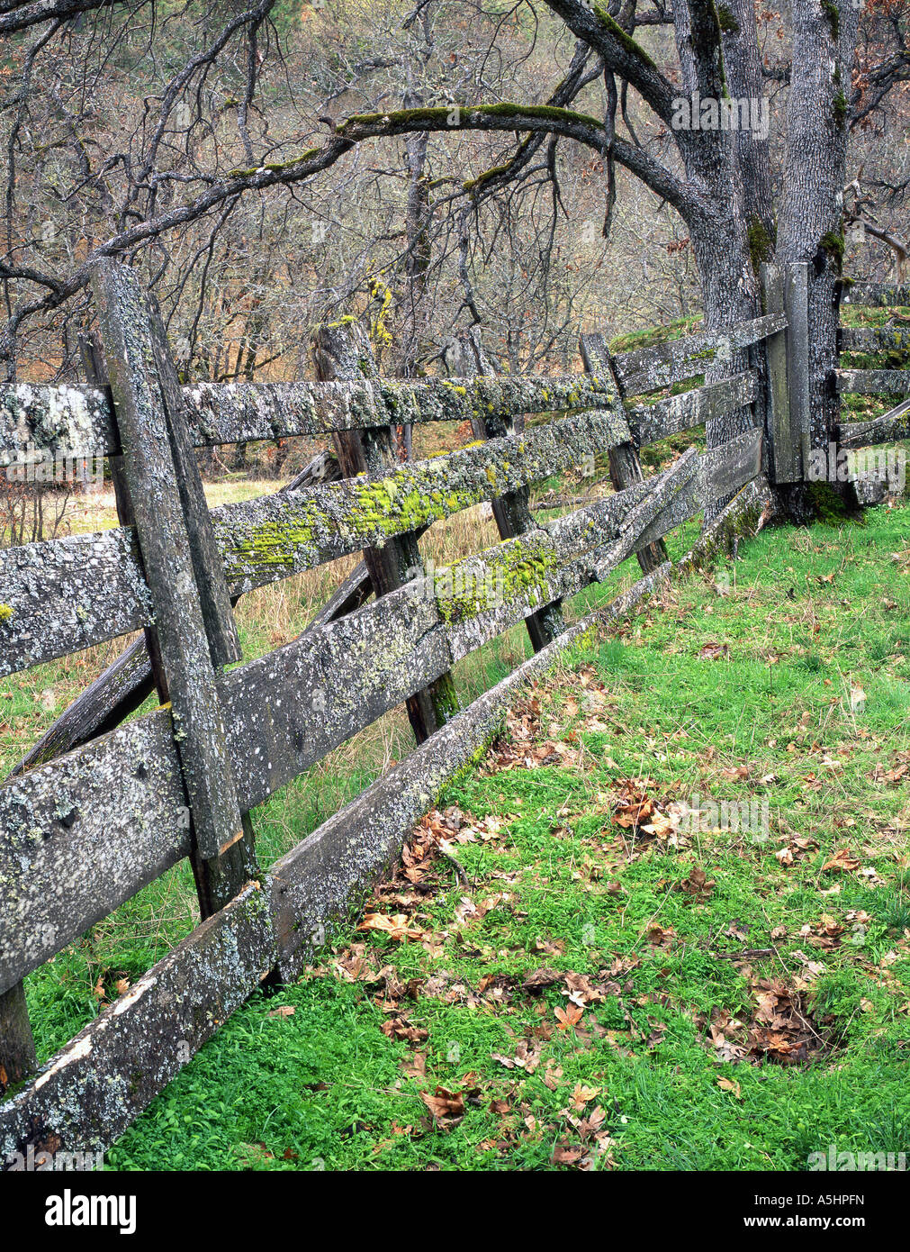 Oak fenceline hi-res stock photography and images - Alamy