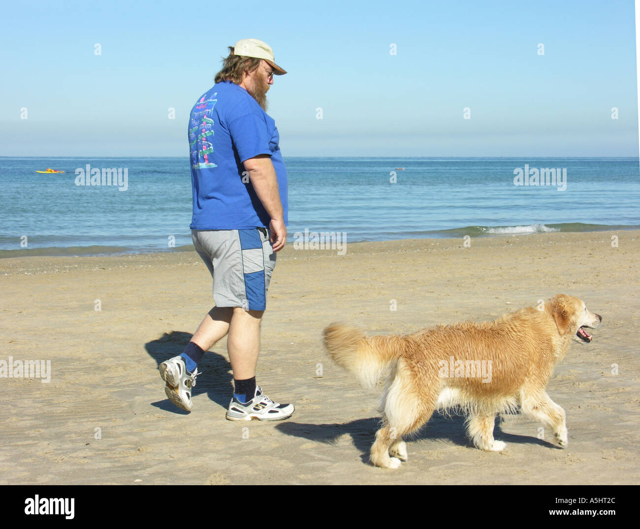 Big bearded man walking golden retriever dog on beach Stock Photo - Alamy