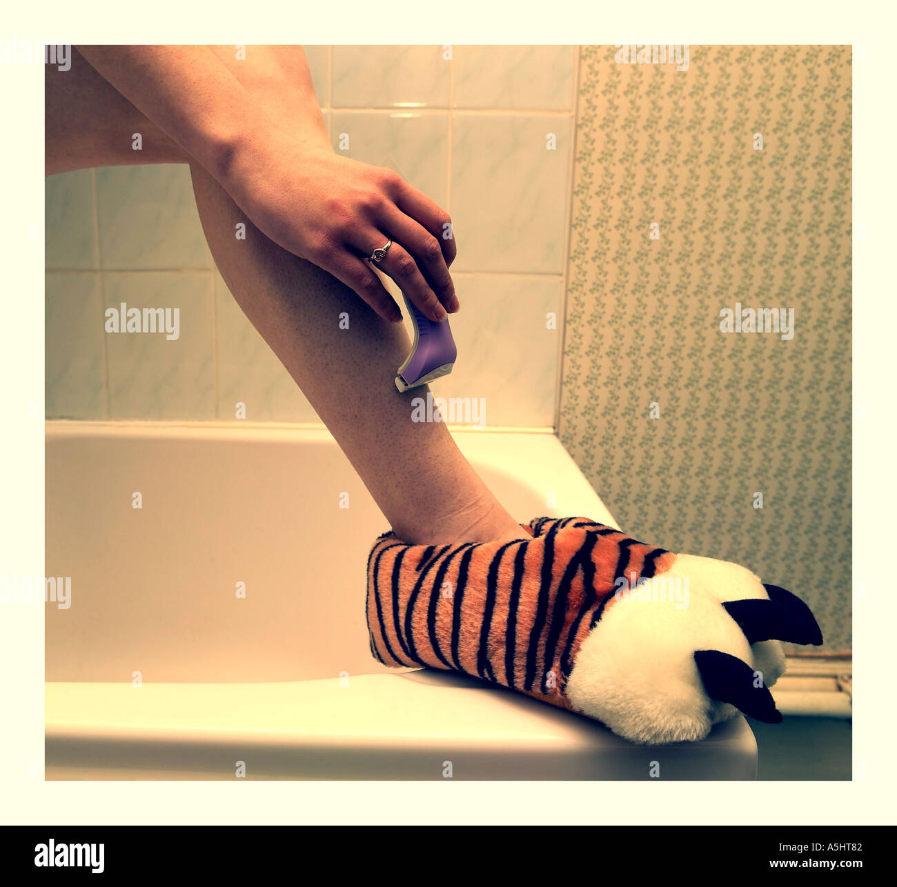 Tiger paws feet paw hi-res stock photography and images - Alamy