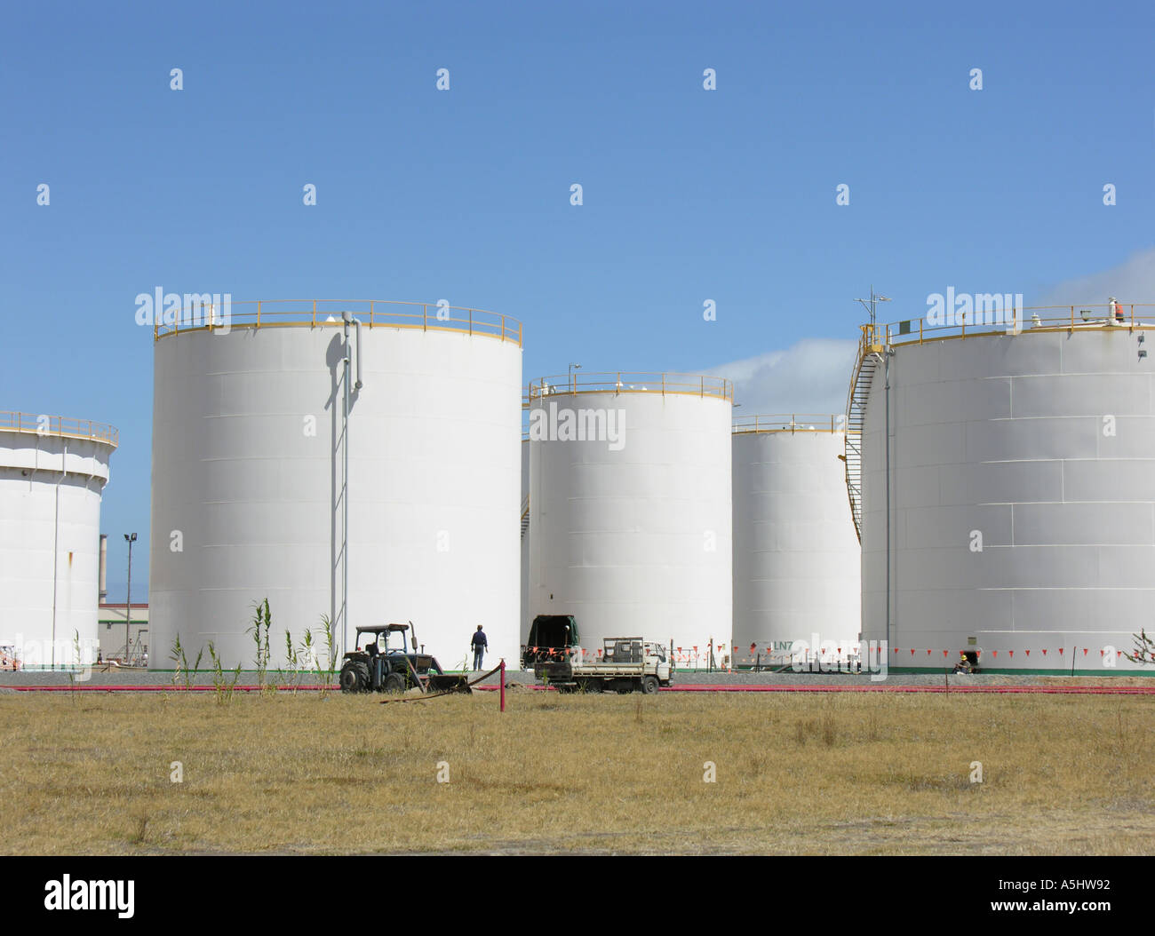 Petroleum oil silos with workers Stock Photo - Alamy