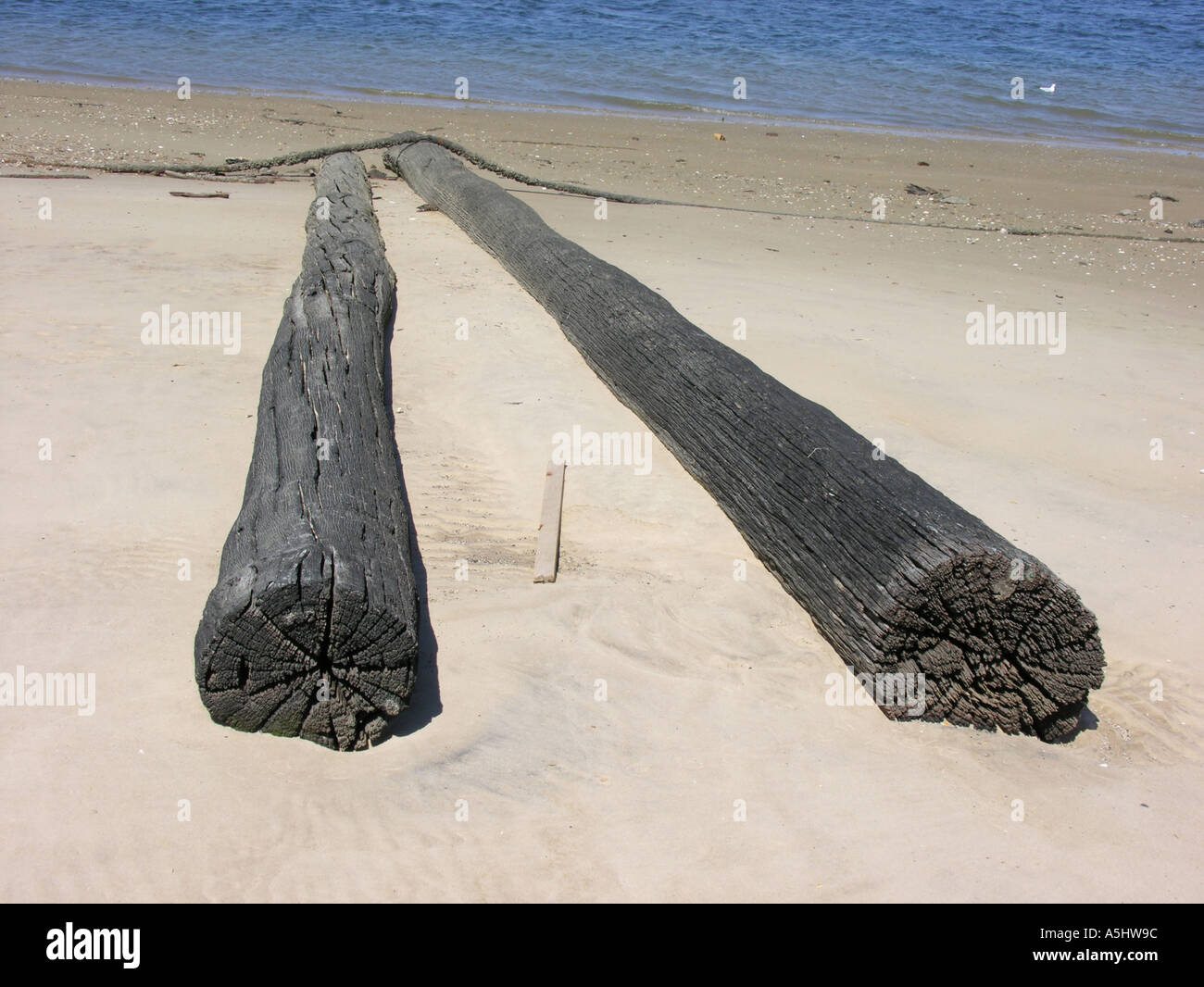 Driftwood logs and ropes on sandy beach Stock Photo - Alamy