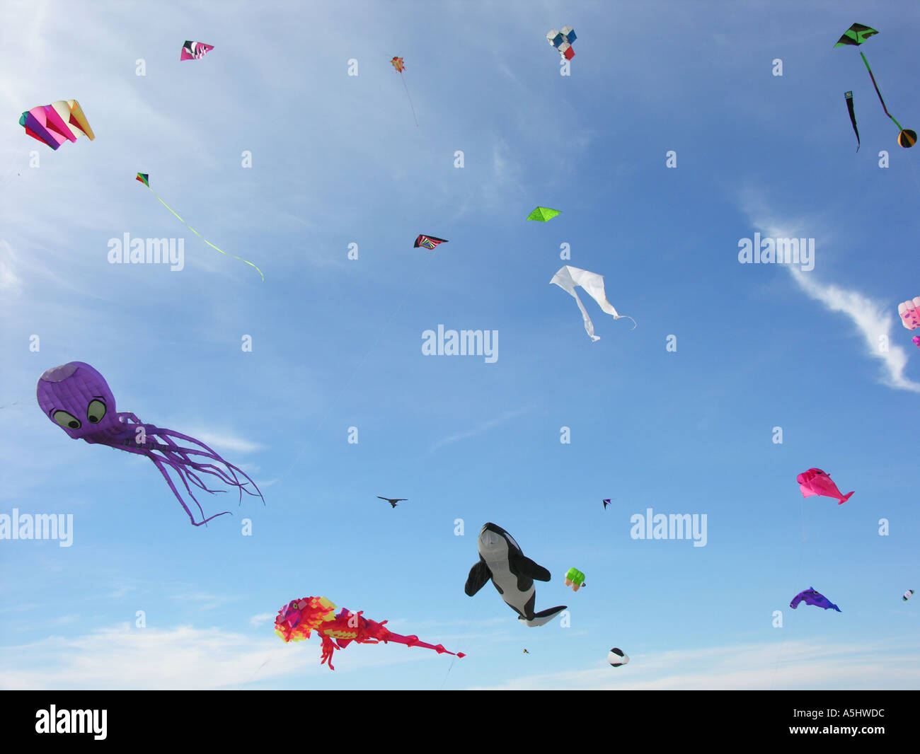 Kite festival kites blowing in the wind Stock Photo - Alamy