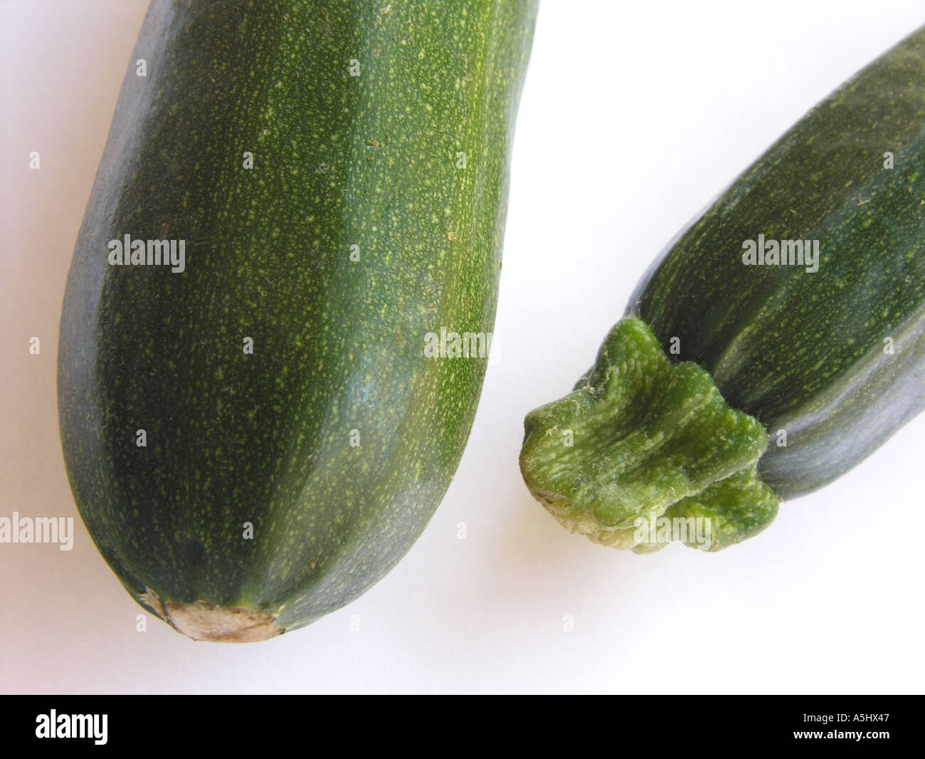 Courgette Zucchini fruits Stock Photo - Alamy