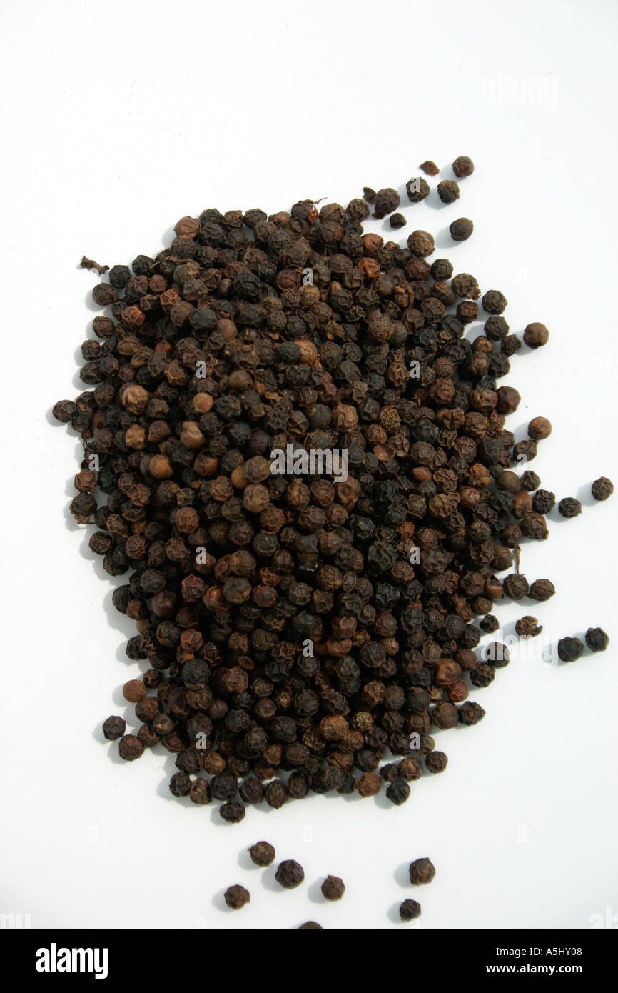 Black Pepper Seeds Piper nigrum Stock Photo - Alamy