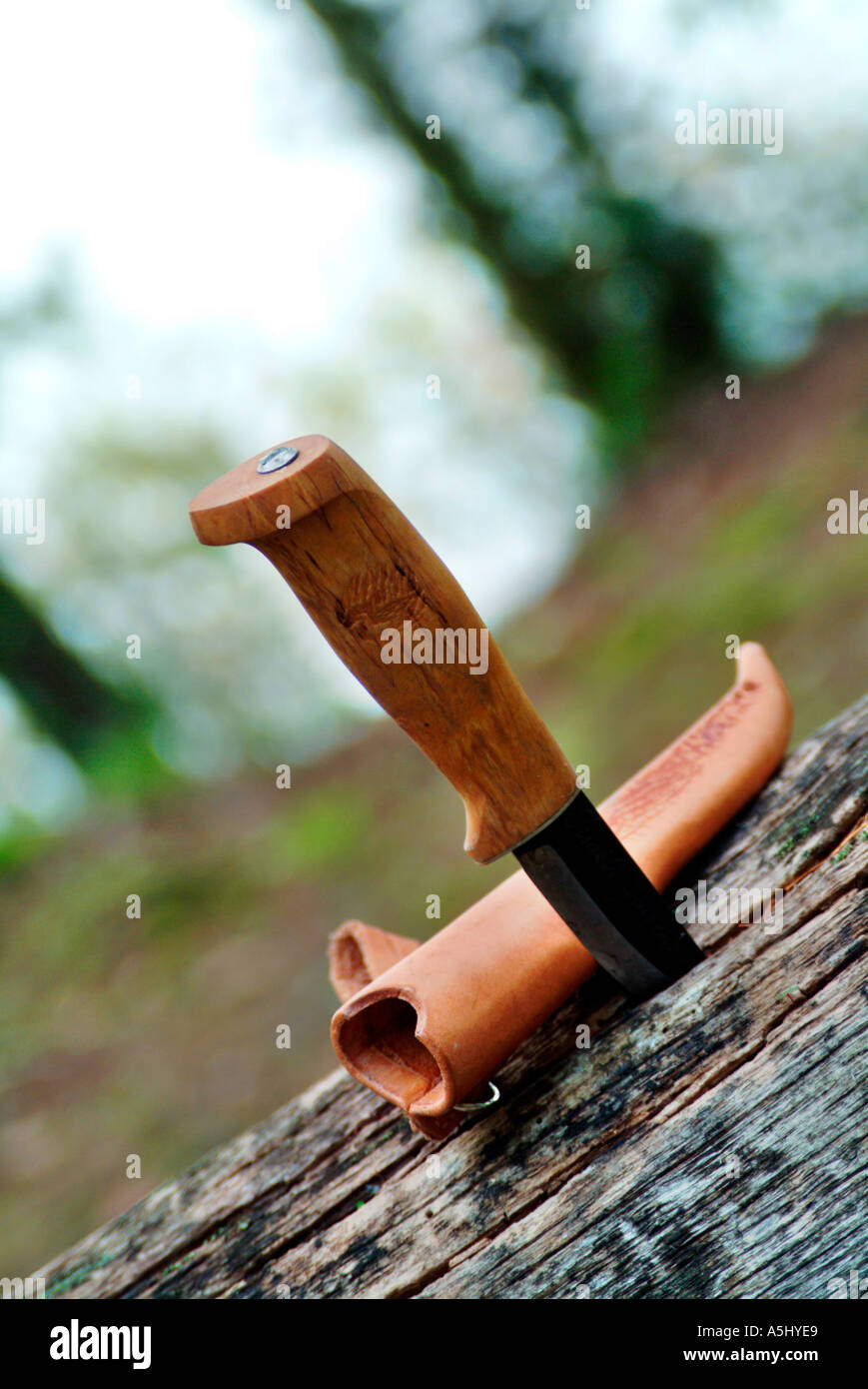 PR traditional knife from Finland in old wood Stock Photo - Alamy