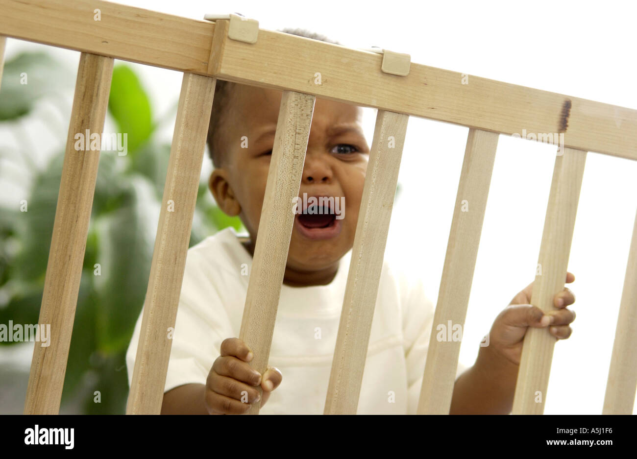Toddler behind a baby gate Stock Photo - Alamy