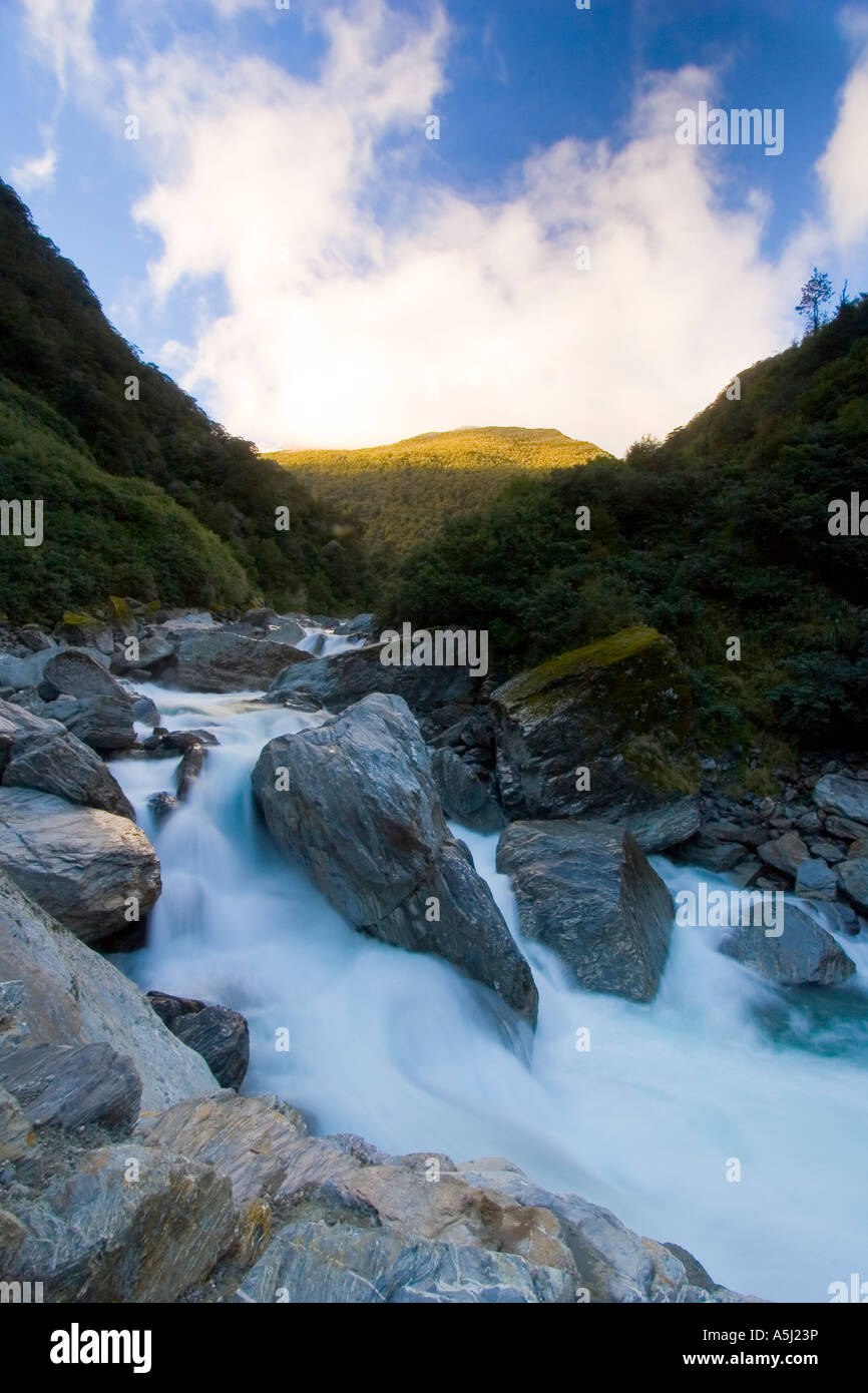 The Haast River West Coast South Island New Zealand Stock Photo - Alamy